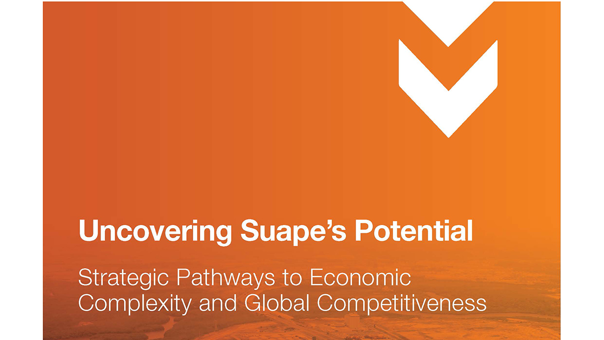 Uncovering Suape's potential: Strategic pathways to economic complexity and global ...
